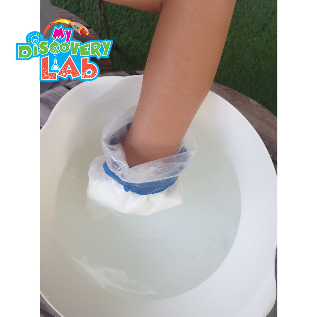 Box 6 -Amazing animals (6-9 years) – My Discovery Lab - Dubai