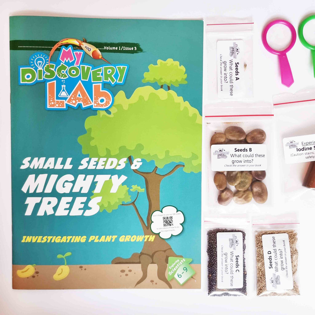 Box 3 - Small Seeds and Mighty Trees: Investigating plant growth (6-9 ...